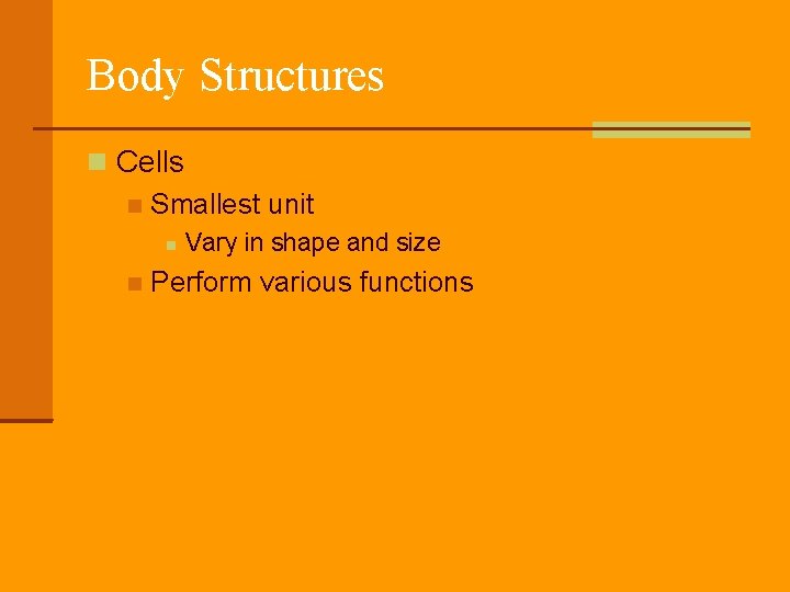 Body Organization Body Organization Anatomy Study of structure