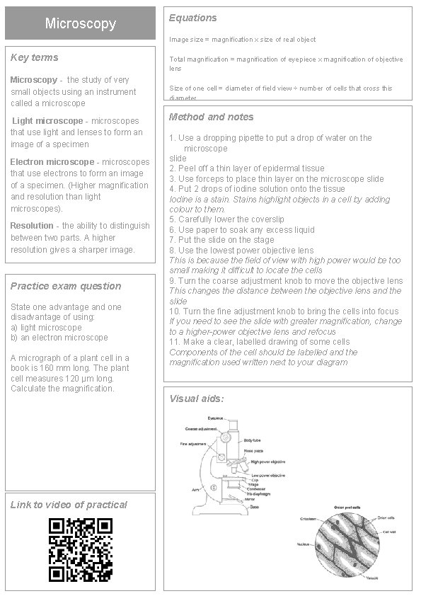 Biology Required Practicals Paper One Required Practicals Microscopy