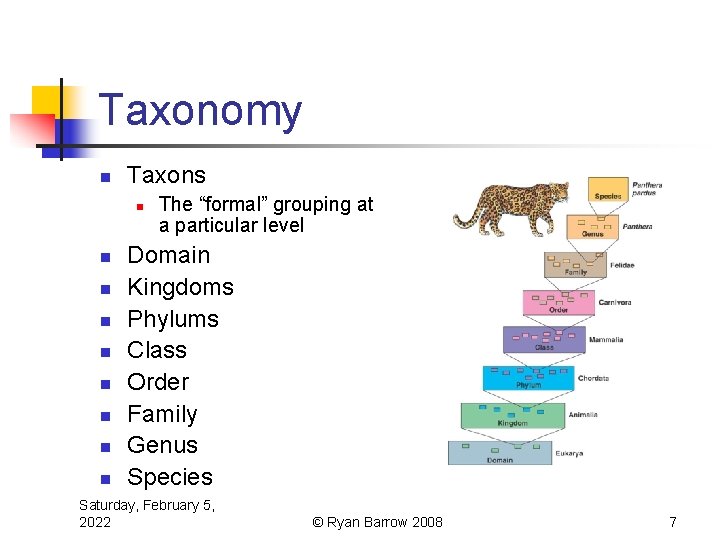 Taxonomy Classification Packet 32 Saturday February 5 2022