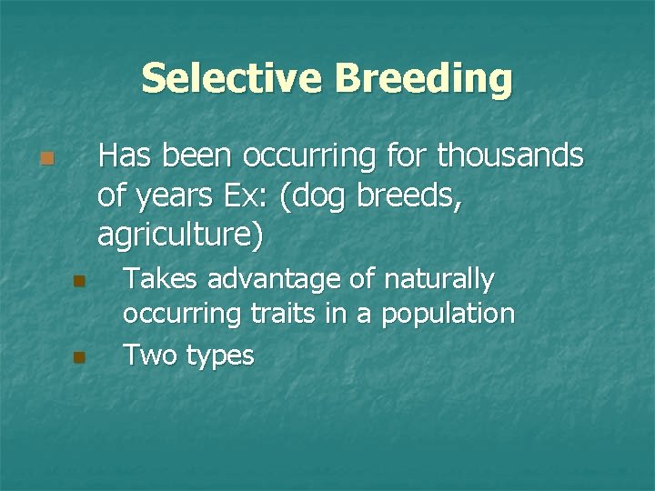 Chapter 13 Genetic Engineering Selective Breeding Has been