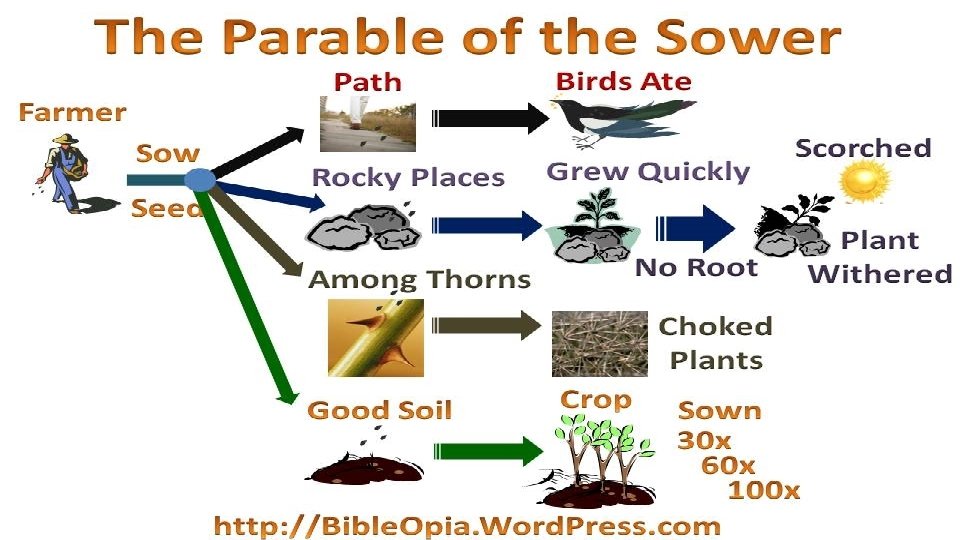 The Parable of the Sower The Parable of