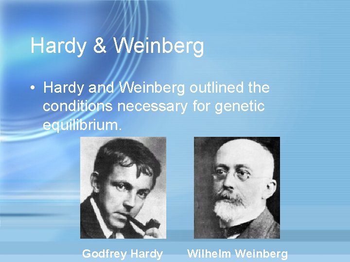 Speciation Genetic Equilibrium Disruption of Genetic Equilibrium Formation