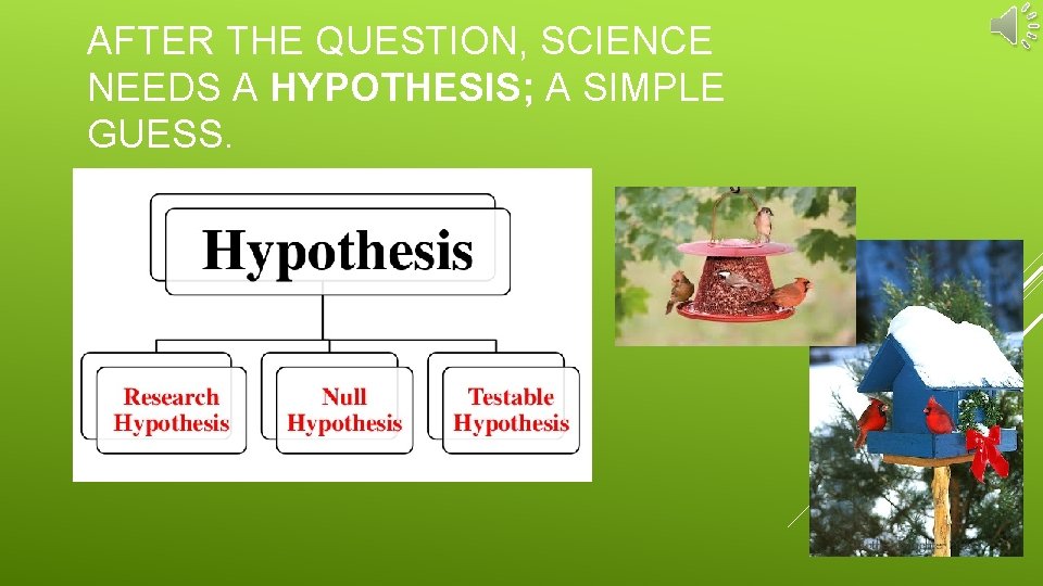 THE SCIENTIFIC METHOD Whats the difference between a