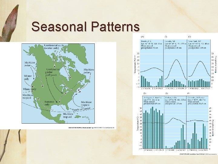 Plant Ecology Chapter 17 Climate Physiognomy The Abiotic