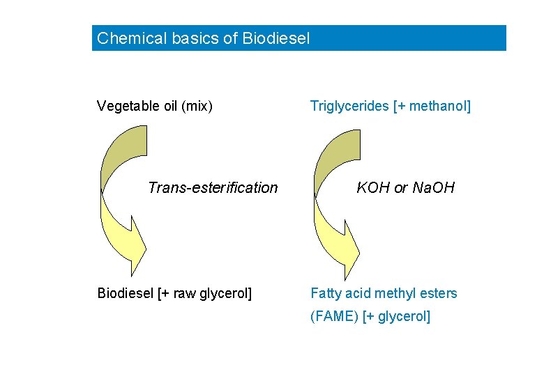 Biodiesel Critical Control Points Boris S GAIVORONSKI Bioterpena