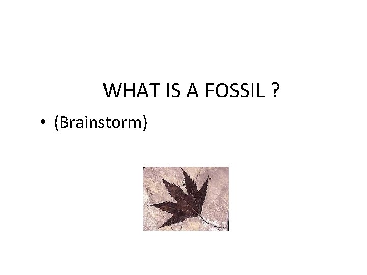 FOSSILS WHAT IS A FOSSIL Brainstorm The characteristics