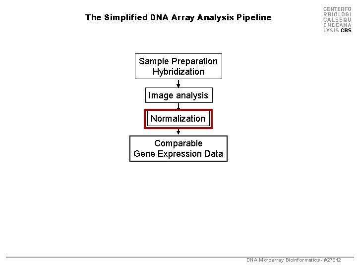Normalization and Statistical Analysis DNA Microarray Bioinformatics 27612