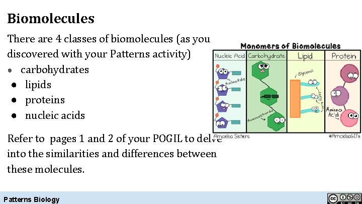 EQ What are the functions of biomolecules How