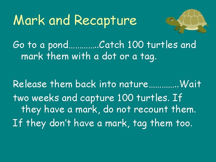 Studying Populations Chapter 1 Lesson 2 Direct Observation
