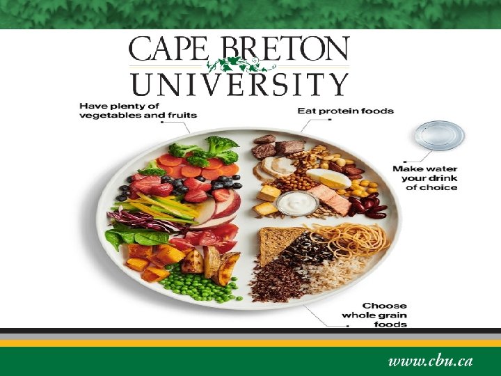 Lecture 1 Course syllabus HANDOUTSCanada food guide https