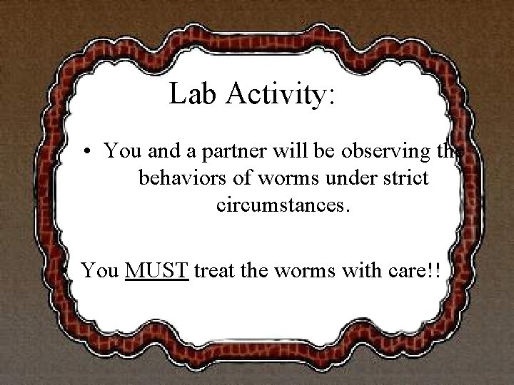 Earthworm Behavior Lab Biology Knowledge of Earthworms What