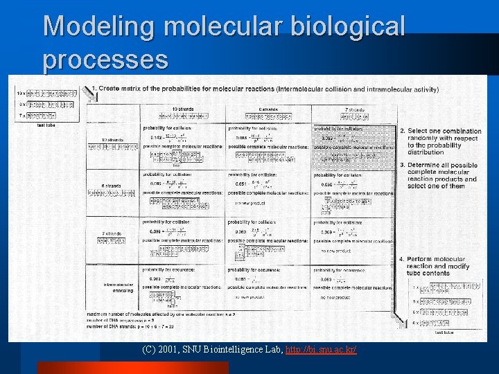 An objectoriented simulation of real occurring molecular biological