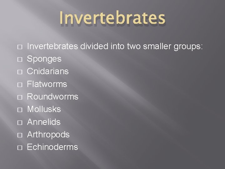 INVERTEBRATE ANIMALS Chapter 6 Section 1 What is