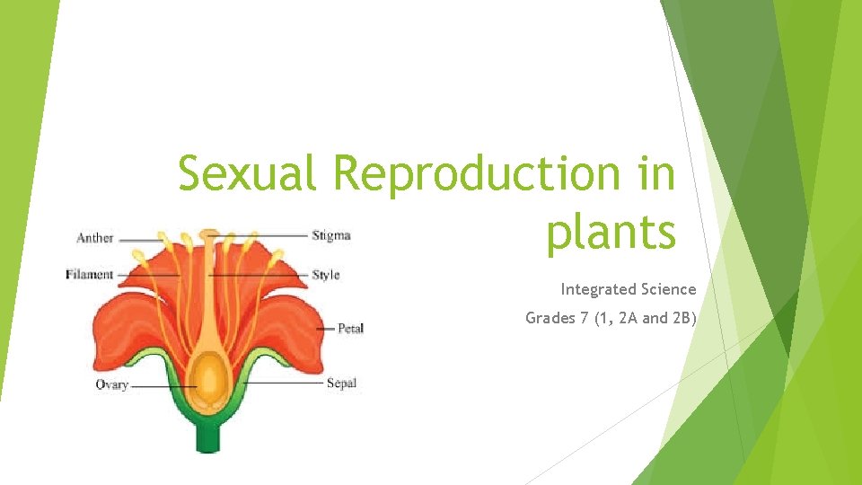 Before we go into Sexual Reproduction in Plants