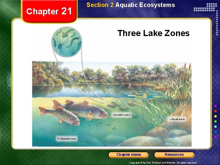 Chapter 21 Section 2 Aquatic Ecosystems Objectives Identify