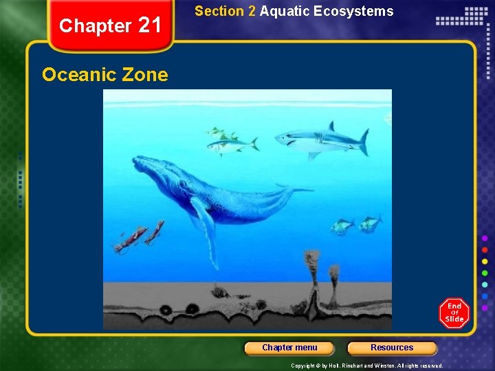 Chapter 21 Section 2 Aquatic Ecosystems Objectives Identify