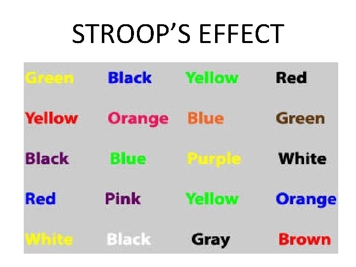 The Developing Brain Child Development Ms Simmons Bell