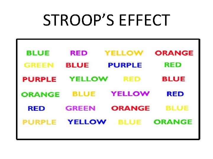 The Developing Brain Child Development Ms Simmons Bell