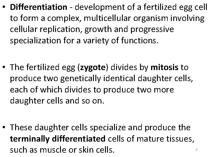 Cell division mitosis meiosis factors specialization functions abnormal