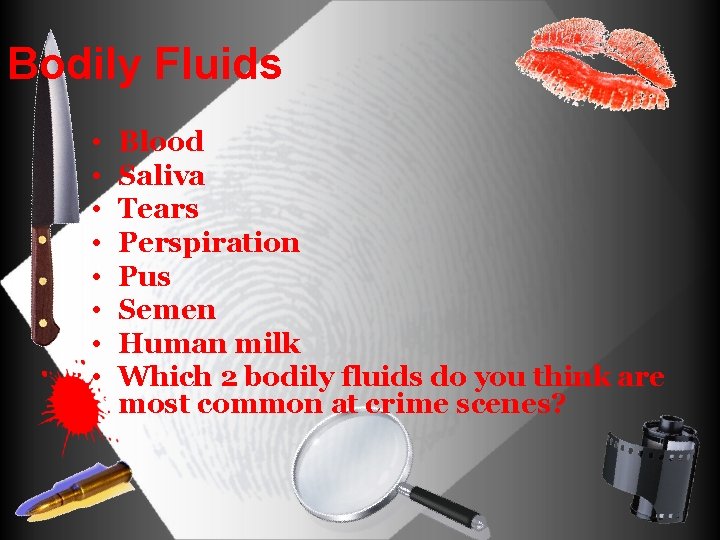 Bellringer 1 What is serology 2 What body