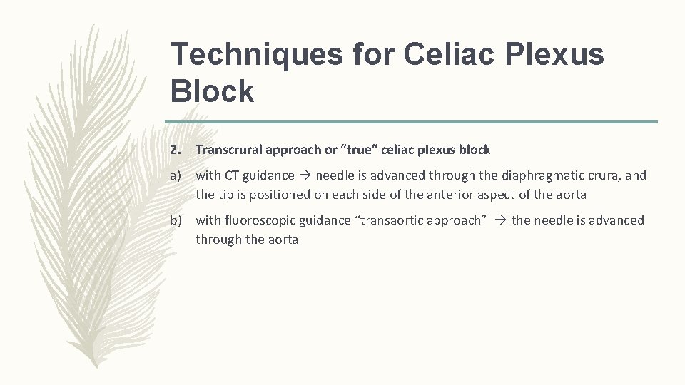 Ultrasound Guided Celiac Plexus Block and Neurolysis Dr