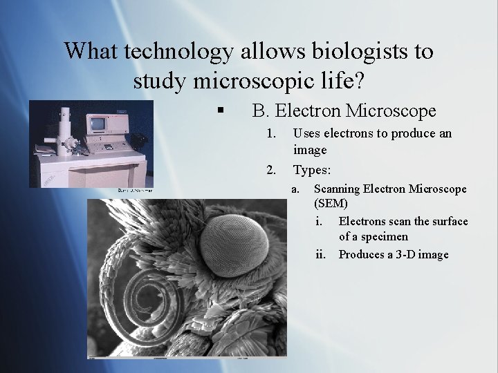 Microscopes How can we observe cells What technology