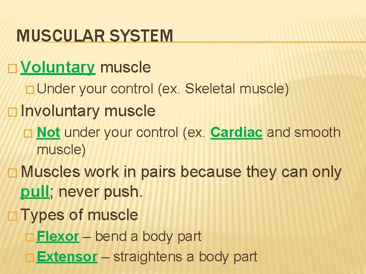 Chapter 1 2 THE HUMAN BODY BODY ORGANIZATION
