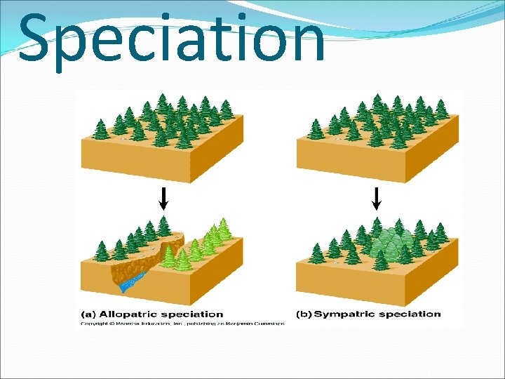 The Theory of Biological Evolution The Theory of