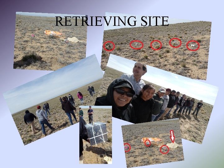 Discovering the Correlation between the Ozone Pressure and