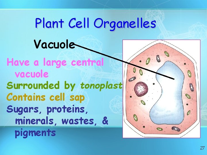 Basic Structure of a Cell 1 Introduction to