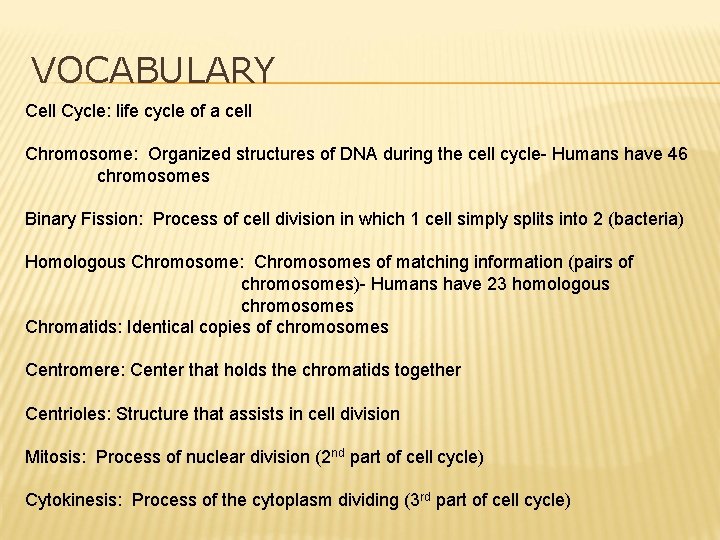 CELL DIVISION Cell Cycle Chromosome Binary Fission Homologous