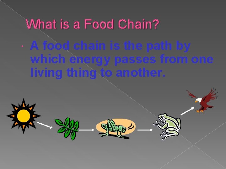 FOOD CHAINS AND WEBS What is a Food