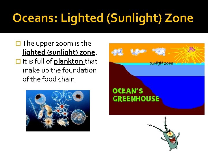 Saltwater Ecosystems Aquatic Ecosystems Marisa Boan Saltwater Ecosystems