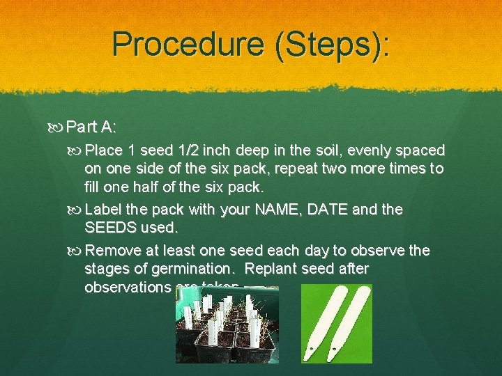 Plant Propagation Lab Asexual and Sexual Reproduction Purpose