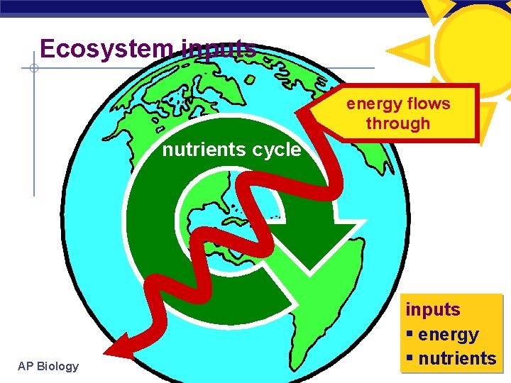 AP Biology Ecosystems Studying organisms in their environment