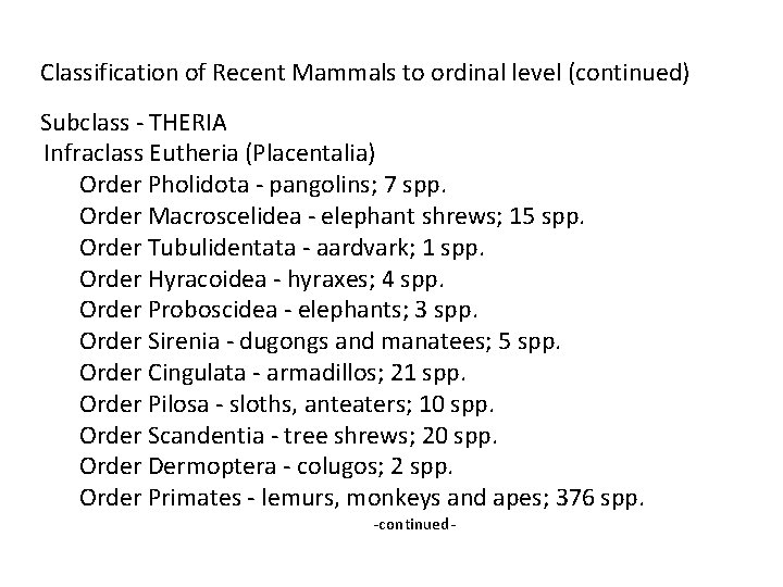 Overview Of Mammalian Orders Abbreviated Version Class Subclass