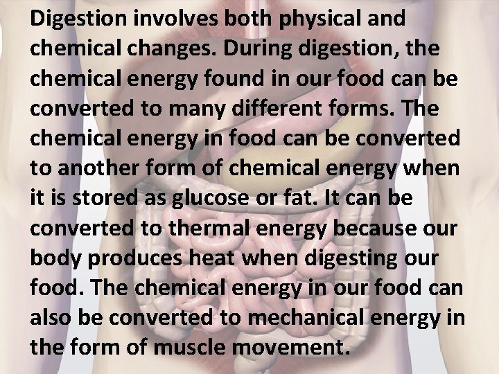 Transformation of Energy Through Digestion Lab Energy Transformations