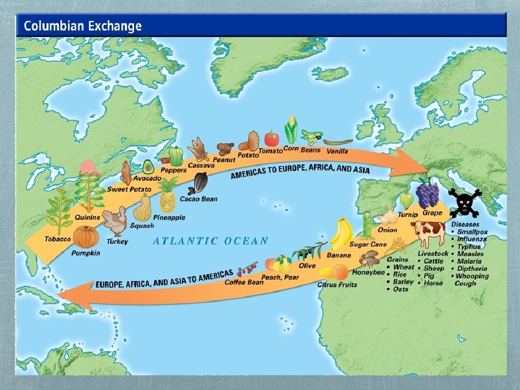 The Columbian Exchange Triangular Trade What is the