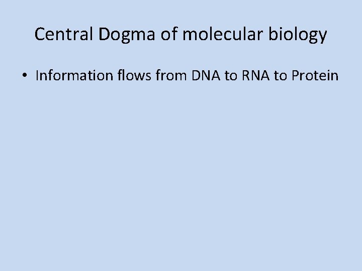 Chapter 8 Review Central Dogma of molecular biology