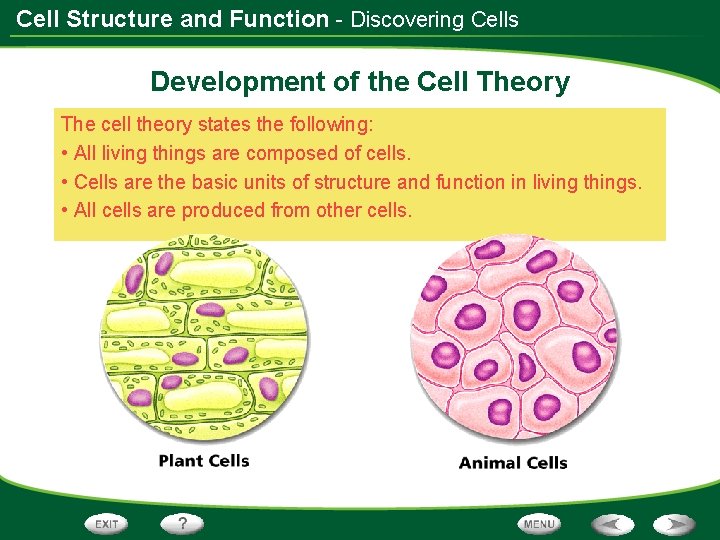 Cell Structure and Function Table of Contents Discovering