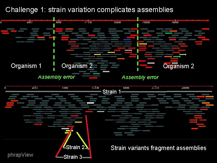 Technological challenges in analysis of simple microbial communities