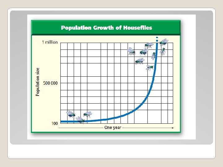Population Growth Factors that affect populations Birth Rate