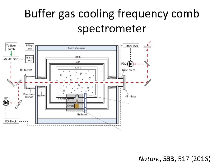 High resolution rovibrational spectroscopy of large molecules using