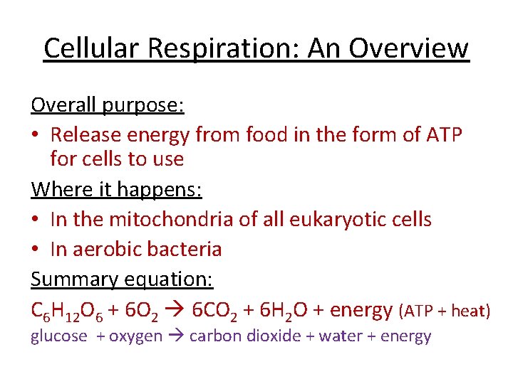 AP Biology Thursday 11911 Lab 5 Measuring Rates