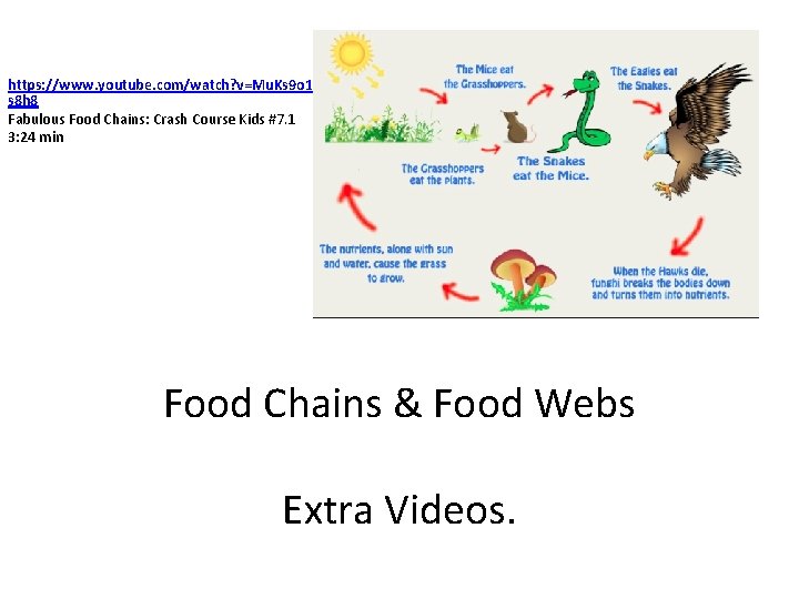 Food Chains Food Webs As you study more