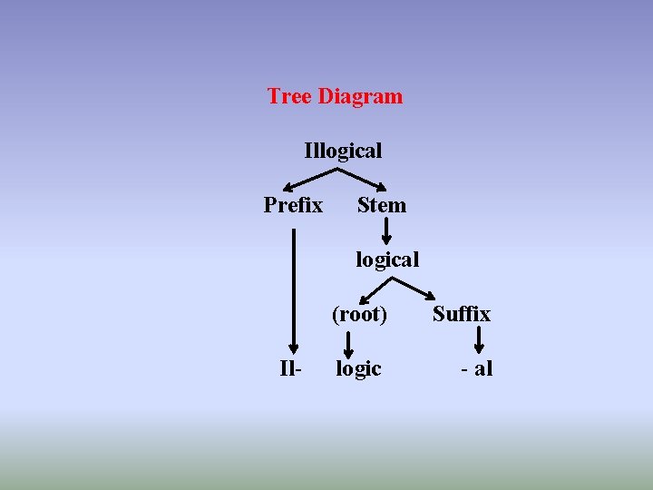Morphology A branch of linguistics that is concerned