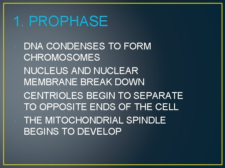 Chapter 3 Cell Division Mrs Ragsdale Biology SL
