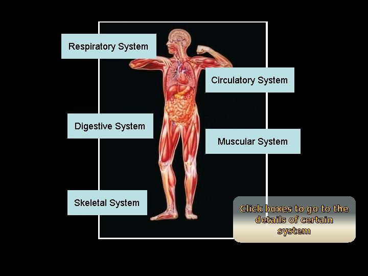 The Human Body Interactive Learning Menu Click the