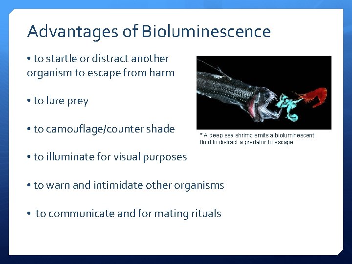 Bioluminescence Sample Presentation General Power Point Formatting Example