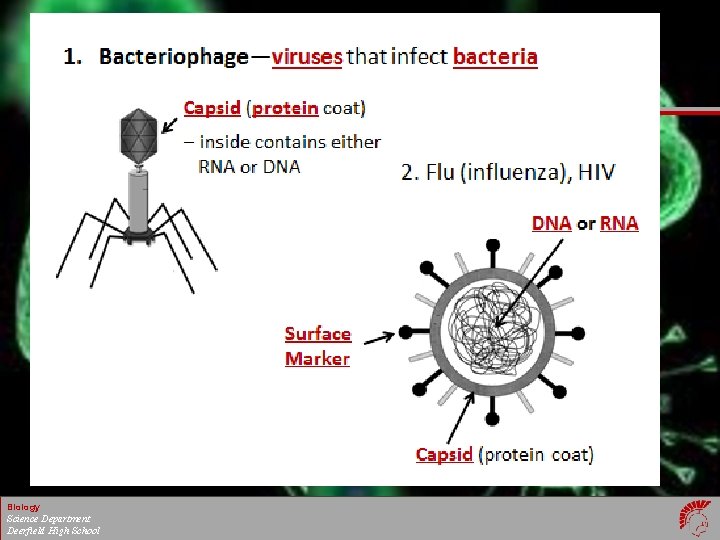 What makes us sick Bacteria Virus Fungi Parasites